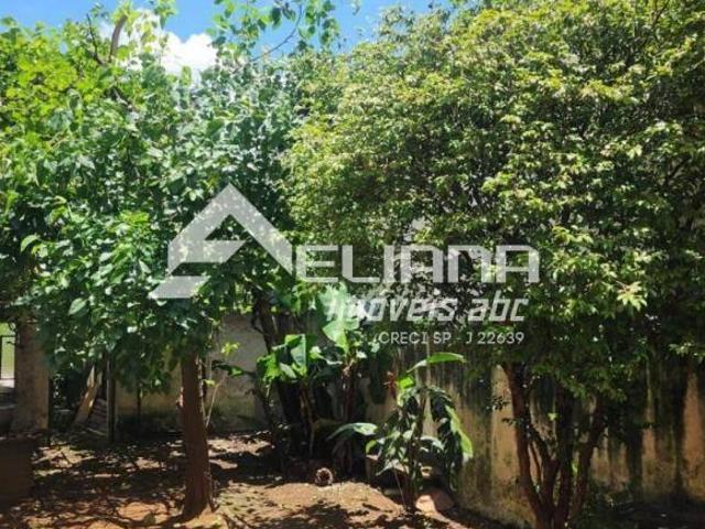 Terreno de 5 x 50 na Santa Maria São Caetano