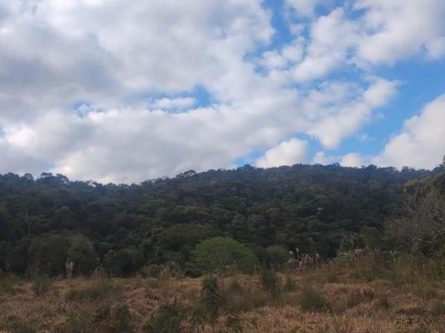 Terreno de 64.000 m² – Natureza, Tranquilidade e Conforto em um só lugar