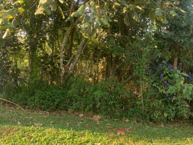 Terreno de 658 m² no condomínio Fazenda da Ilha Embu Guaçu para venda