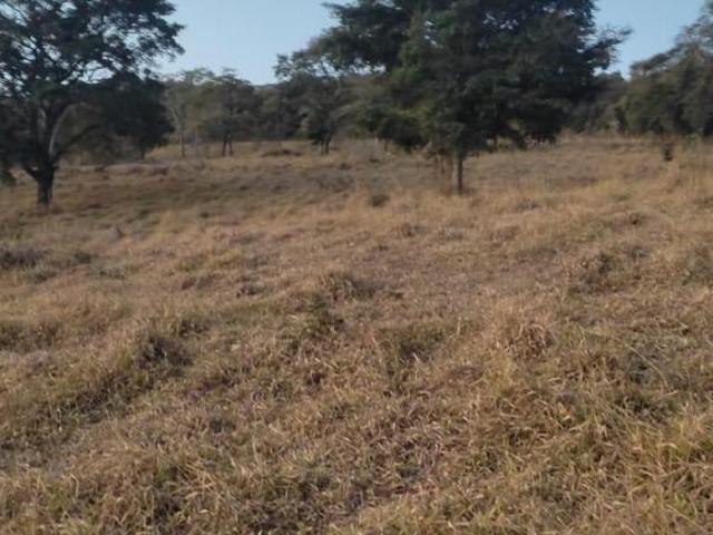 TERRENO DE 6 HECTARES C/ CASA VELHA DE TIJOLINHO, LUZ LIGADA E ÁGUA NOS FUNDOS À VENDA EM PIRACEMA/M