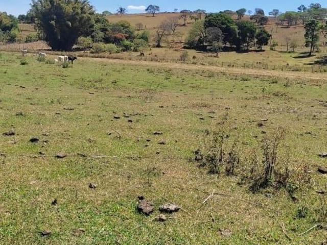 TERRENO DE 6 HECTARES PLANO E C/ ÁGUA CORRENTE À VENDA EM CARMÓPOLIS DE MINAS/MG