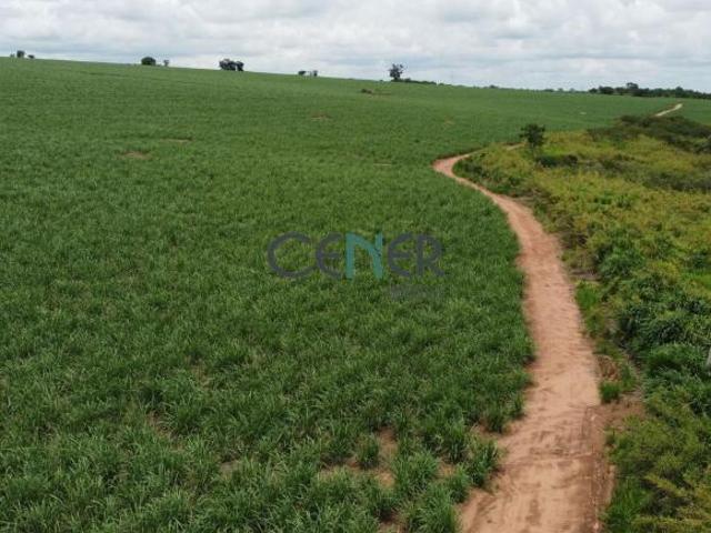 Terreno de 77,9ha para empreendimentos em SP
