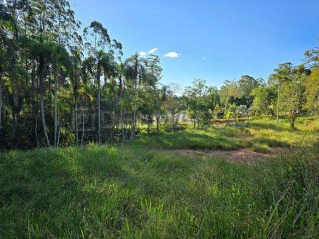 Terreno de 7.000 m² com platô, pronto para construir em condomínio!