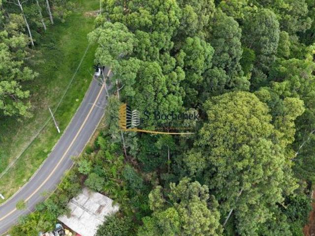 Terreno declive venda Tamboré 1 Alphaville 1450m c/ vista para mata