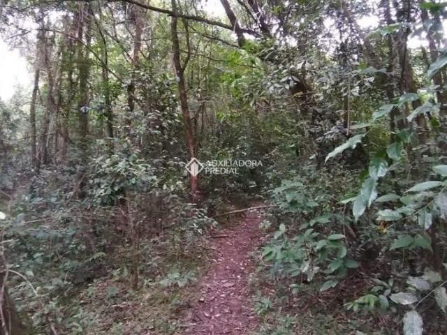 Terreno DESOCUPADO com área de 10.510,277m²
