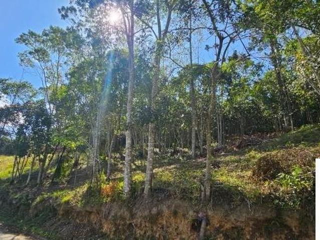 Terreno, Despezio, São Lourenço da Serra, SP
