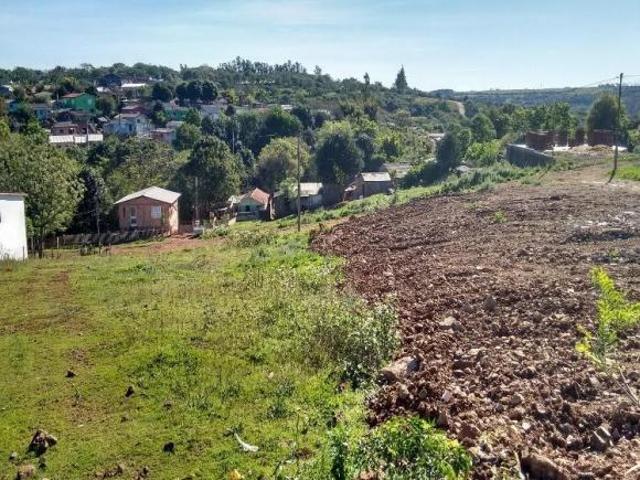 TERRENO DIDO