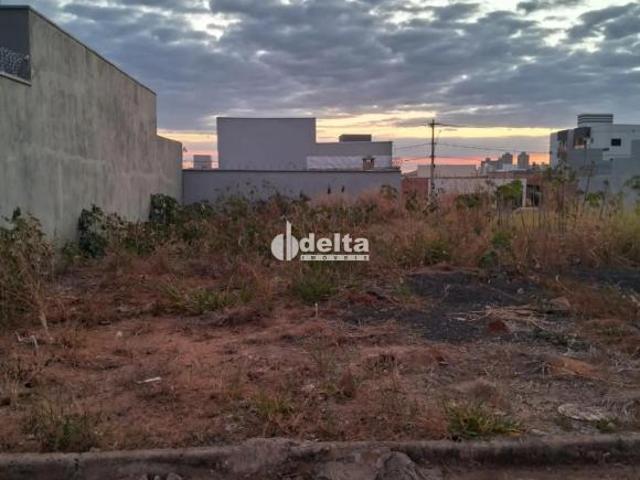 Terreno disponível para venda 250 m² no bairro Laranjeiras em Uberlândia MG