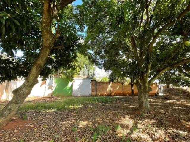 Terreno disponível para venda 250 m² no bairro Morumbi em Uberlândia MG