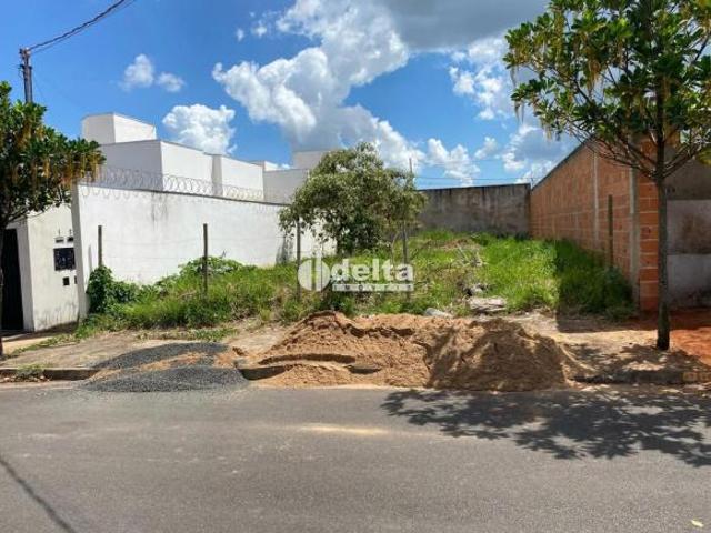 Terreno disponível para venda 250 m² no bairro Minas Gerais em Uberlândia MG