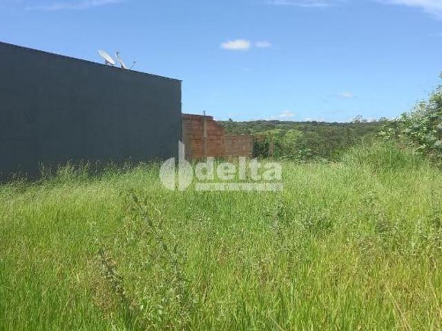 Terreno disponível para venda 250 m² no bairro Shopping Park em Uberlândia MG