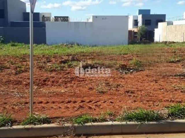 Terreno disponível para venda 250 m² no bairro Quinta Alto Umuarama em Uberlândia MG