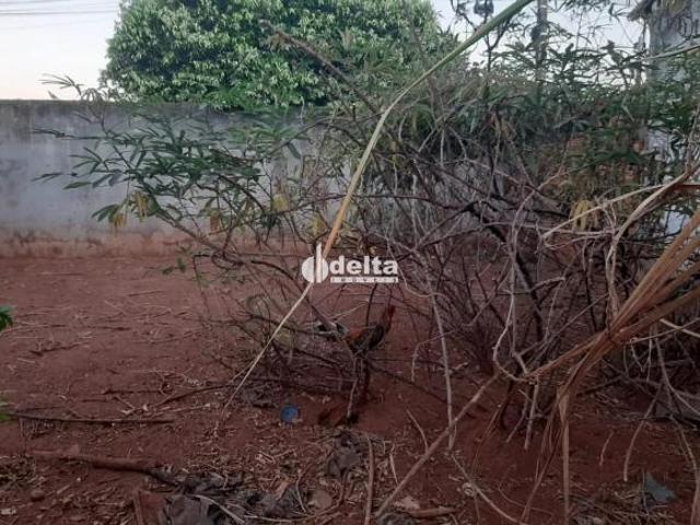 Terreno disponível para venda 250 m² no bairro Tocantins em Uberlândia MG
