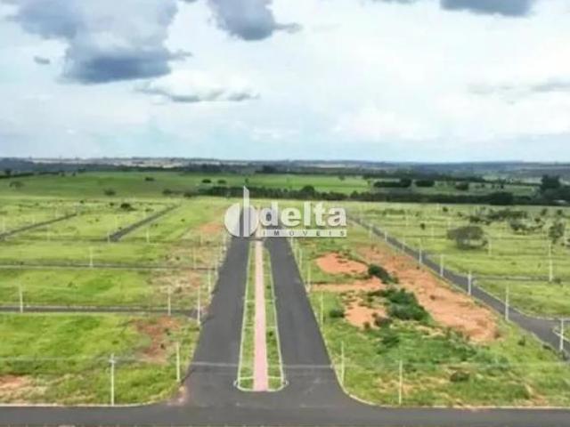 Terreno disponível para venda 253 m²no bairro São Jorge em Uberlândia MG