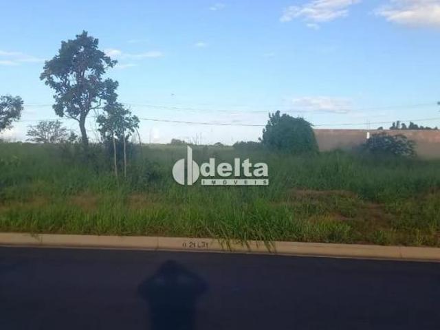 Terreno disponível para venda 254,51 m² no bairro GSP Life em Uberlândia MG