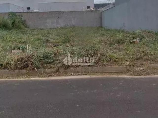 Terreno disponível para venda 300 m² no bairro Novo Mundo em Uberlândia MG