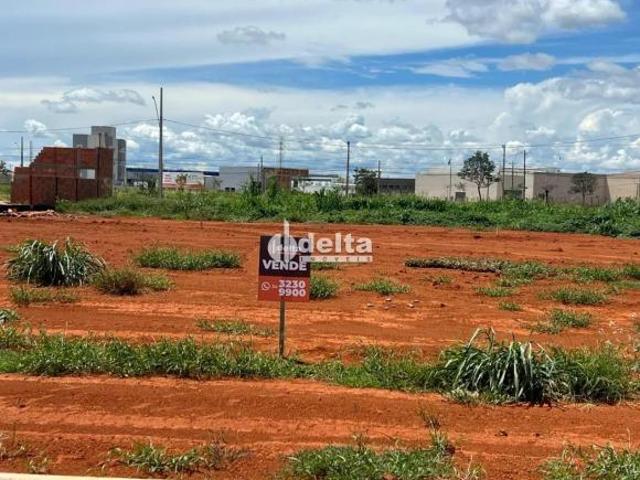 Terreno disponível para venda 308 m² no bairro Novo Mundo em Uberlândia MG