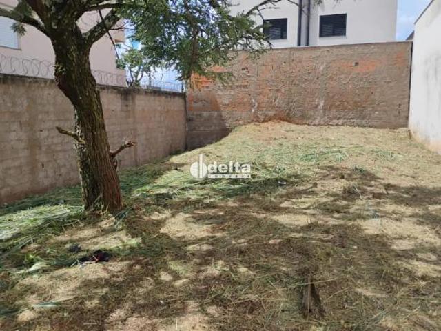 Terreno disponível para venda no bairro Bosque dos Buritis em Uberlândia MG
