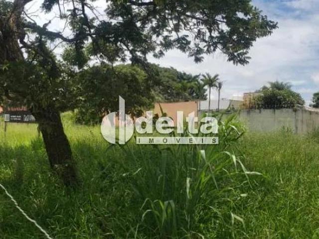 Terreno disponível para venda no bairro Itapema Sul em Uberlândia MG