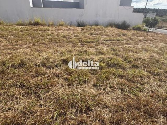 Terreno disponível para venda no bairro Loteamento Portal do Vale II em Uberlândia MG