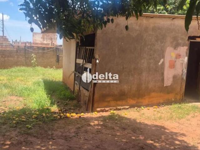 Terreno disponível para venda no bairro Morada Nova em Uberlândia MG
