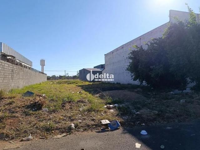 Terreno disponível para venda no bairro Novo Mundo em Uberlândia MG