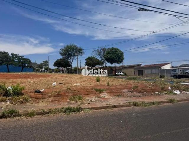 Terreno disponível para venda no bairro Santa Rosa em Uberlândia MG