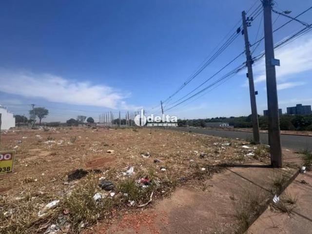 Terreno disponível para venda no bairro Santa Rosa em Uberlândia MG