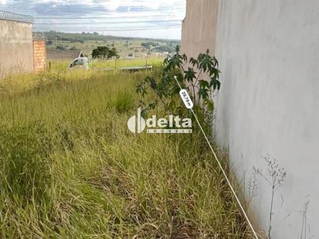 Terreno disponível para venda no bairro Shopping Park em Uberlândia MG