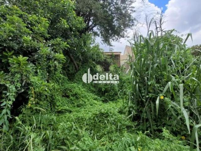 Terreno disponível para venda no bairro Tabajaras em Uberlândia MG