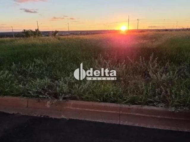 Terreno disponível para venda o no bairro Ecopark em Uberlândia MG
