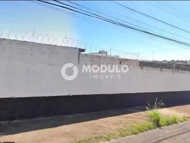 Terreno disponível para locação no bairro Brasil