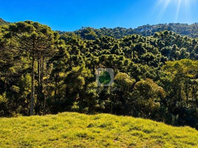 Terreno documentado à venda, 2800 m² por R$ 370.000 Campestre Gonçalves/MG