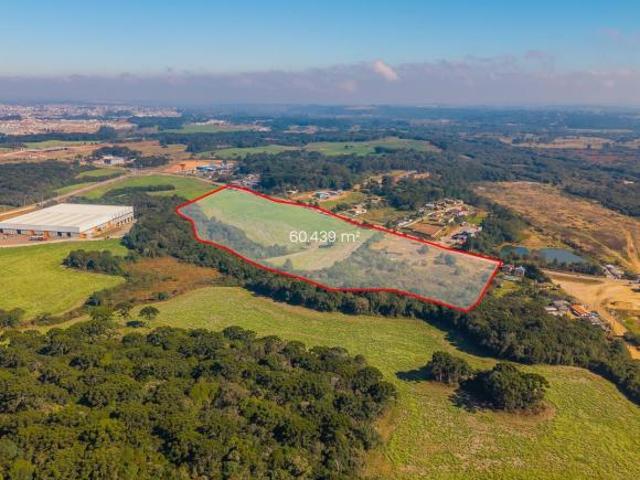 Terreno, Eucaliptos, Fazenda Rio Grande