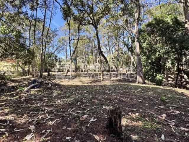 TERRENO EXCLUSIVO À VENDA EM SANTO ANTÔNIO DO PINHAL Bairro Sertãozinho – Estrada do Pico Agudo