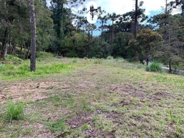 Terreno Exclusivo em Condomínio de Alto Padrão na Vila Capivari Oportunidade Imperdível em Campos d