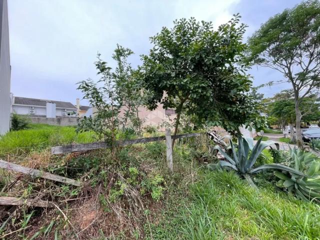 Terreno Exclusivo no Bairro Moinhos de Vento Oportunidade Única!