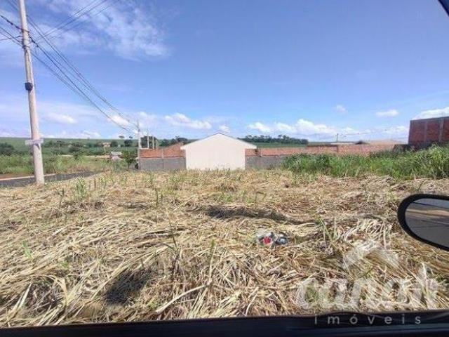 Terreno em Macauba Ribeirão Preto