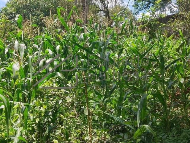 Terreno em Mairiporã com escritura