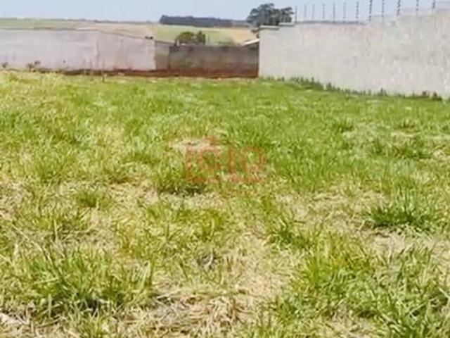 Terreno em Mandaguaçu/ chácara