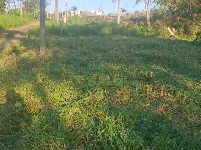 Terreno em, Matinhos/PR de 442m² à venda por R$ 149.000,00