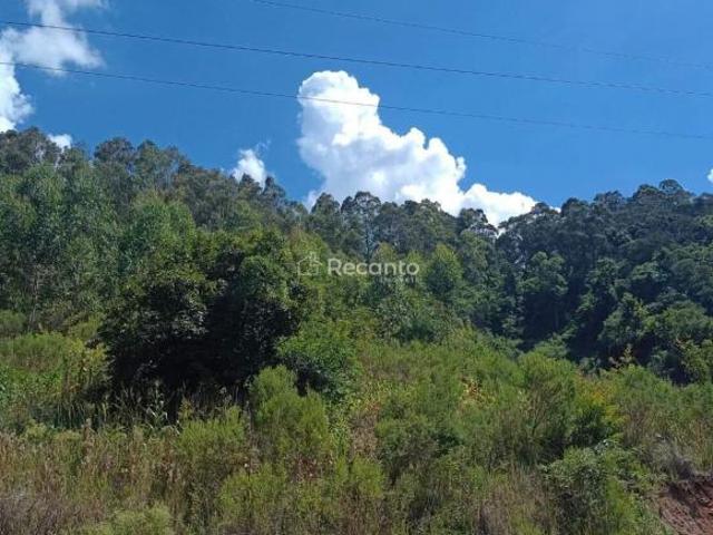 Terreno em Minuano, Gramado/RS de 5000m² à venda por R$ 2.780.000,00