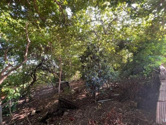 Terreno em Monte Carlo, Araçatuba/SP de 301m² à venda por R$ 100.000,00