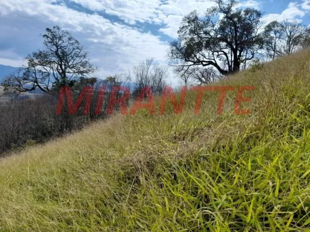Terreno em Morro Grande