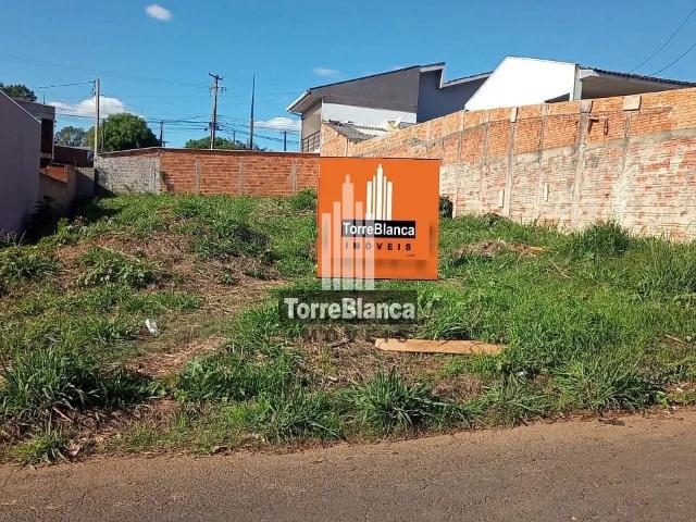 Terreno em Neves, Ponta Grossa/PR de 311m² à venda por R$ 149.900,00