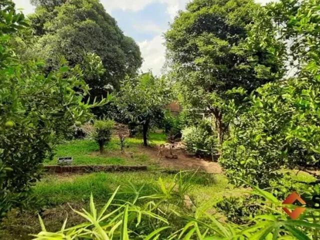 Terreno em novo hamburgo