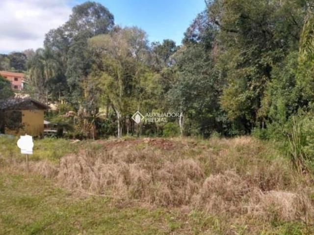 Terreno em Nova Petrópolis Linha Imperial
