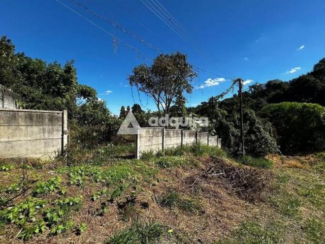 Terreno em Nova Rússia, Ponta Grossa/PR de 149m² à venda por R$ 100.000,00