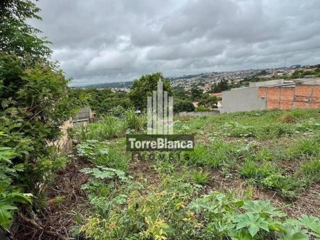 Terreno em Nova Rússia, Ponta Grossa/PR de 1344m² à venda por R$ 800.000,00