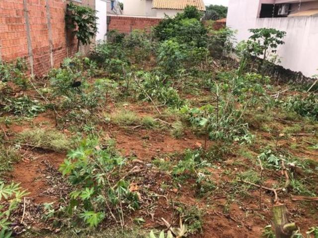 Terreno em ótima localização